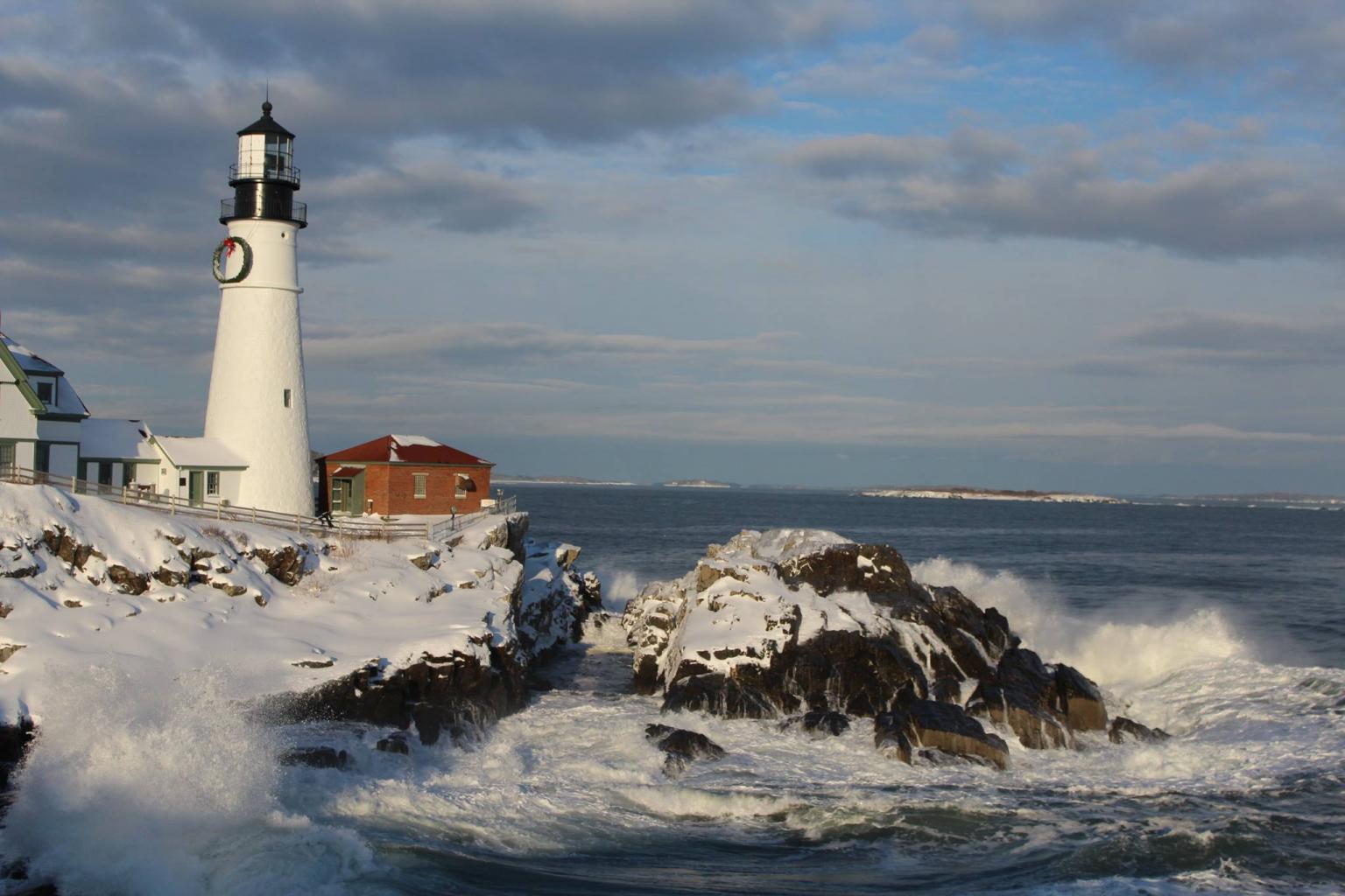 Six – The Loyalist